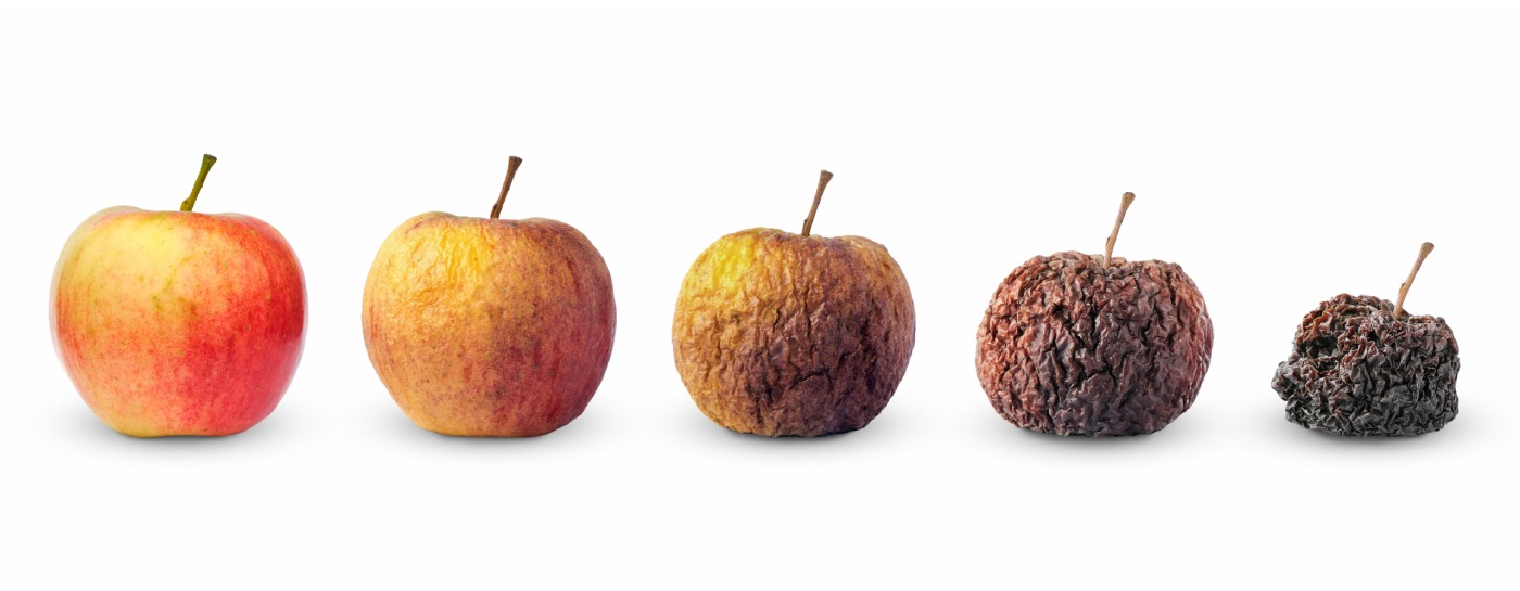 AI for Shelf-Life Prediction: Revolutionizing Food Preservation ...